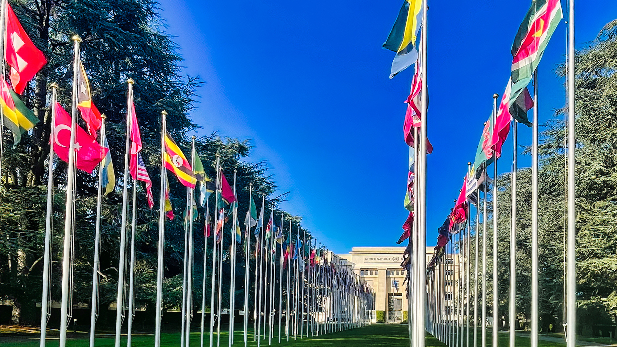 Human Right Council Special Rapporteur On Violence Against Women And
